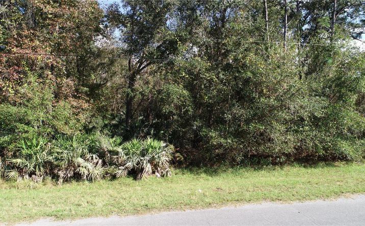 20154 Sheldon St, Orlando, FL 32833 | Crexi.com