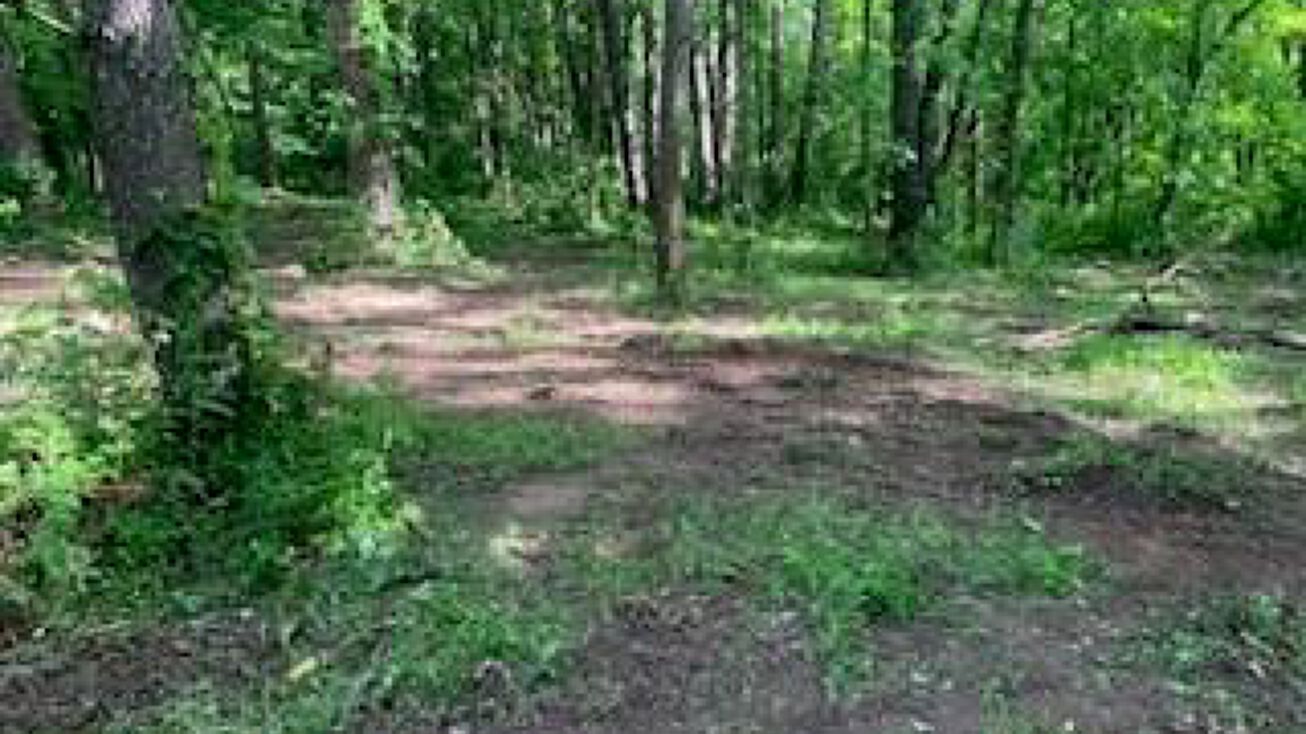 2486 Reimer Rd, Wadsworth, OH 44281 | Crexi.com