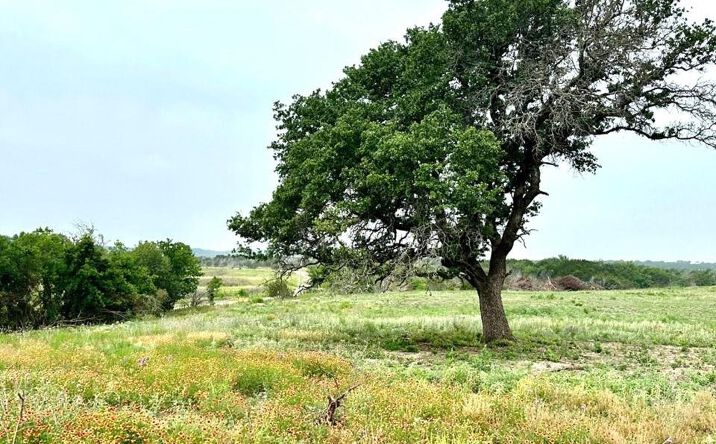 TBD CR 2730, Glen Rose, TX 76043 | Crexi.com