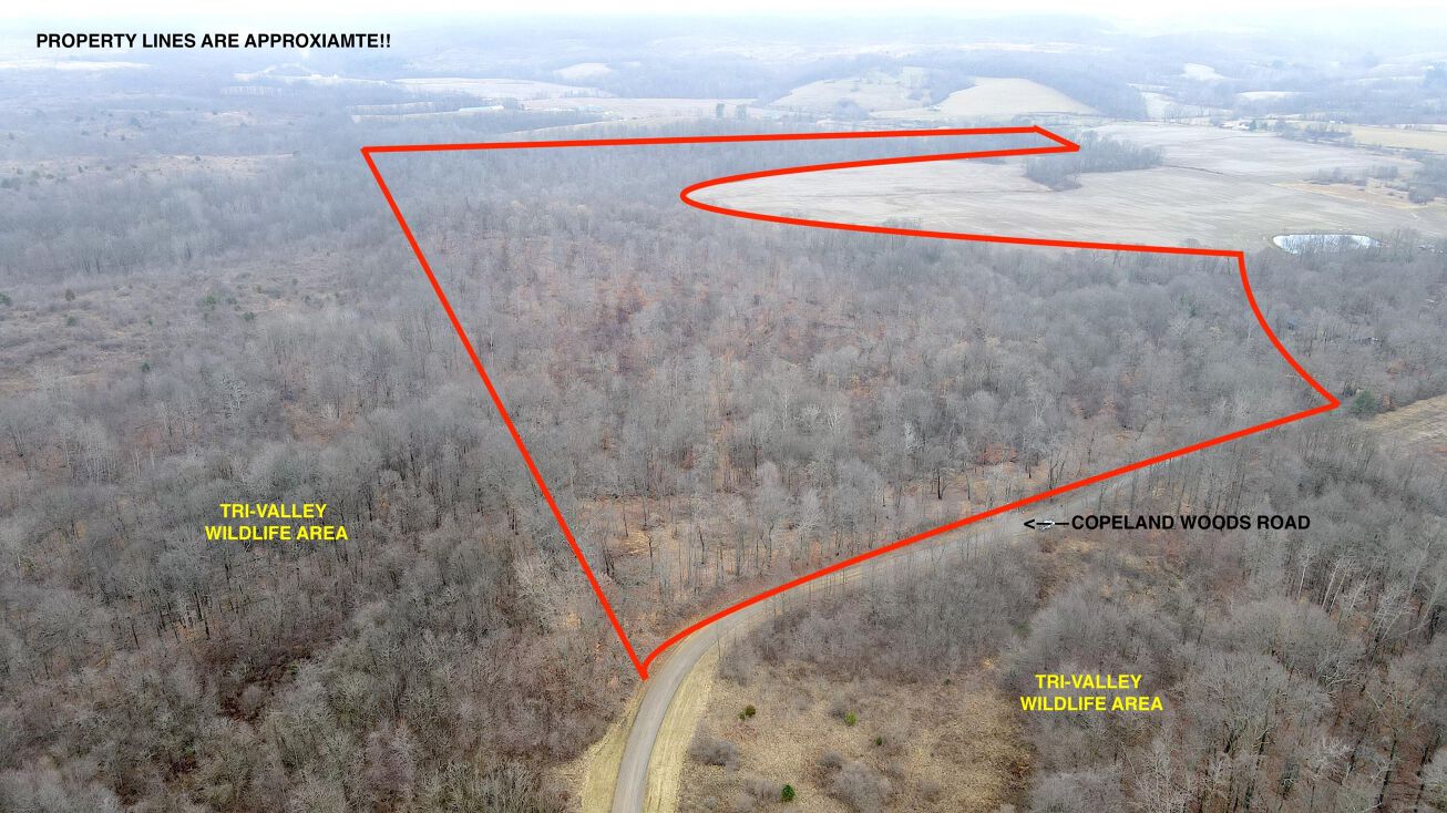 0 Copeland Woods Drive, Dresden, OH 43821 | Crexi.com