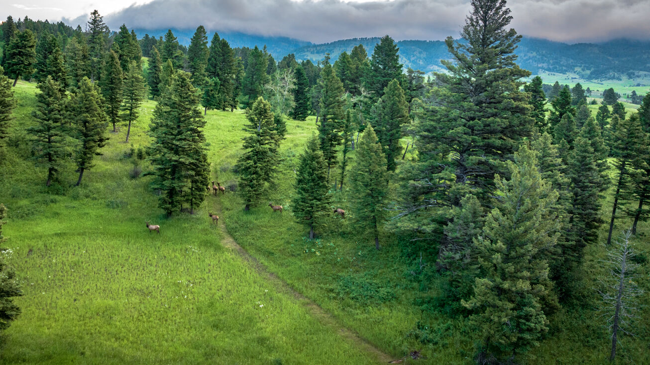 Parcel 11 North Pass, Bozeman, MT 59715 | Crexi.com