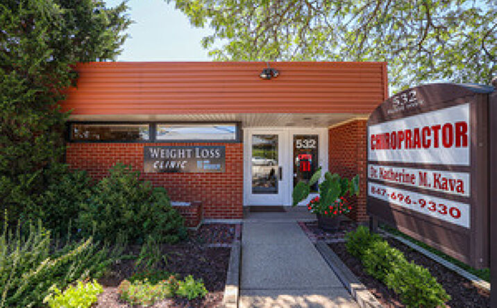 532 BUSSE HWY Park Ridge IL 60068-3144 APN: 09-26-300-011-0000 | Crexi.com