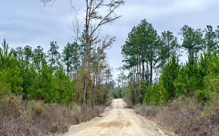 6411 E Open Creek Road, Caryville, FL 32428 | Crexi.com