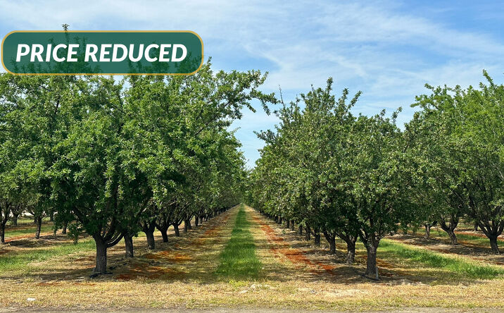 25415 S Bryan Ave, Riverdale, CA 93656 | Crexi.com