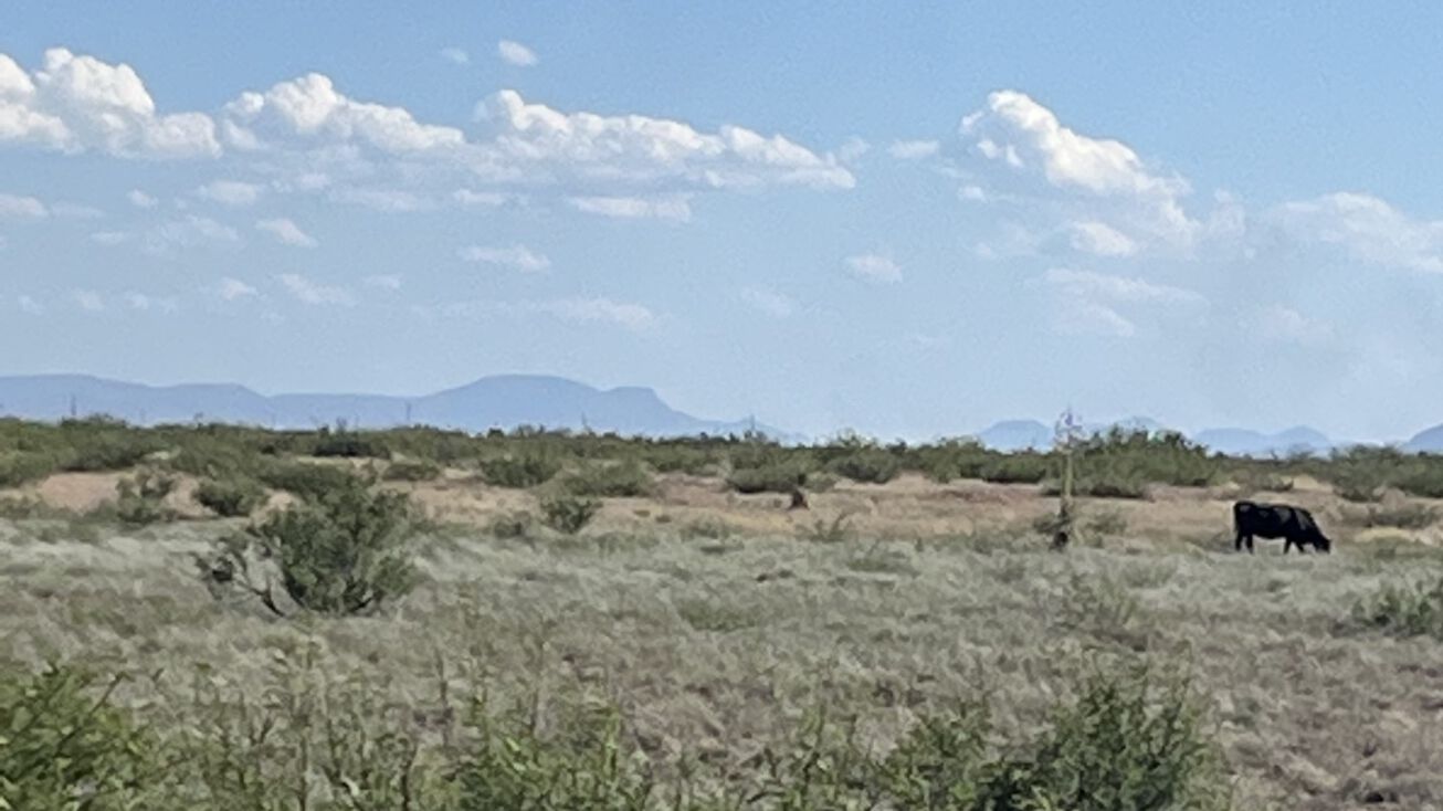 West Glenn Road N Haas Rd US-191, Douglas AZ, Douglas, AZ 85607 | Crexi.com