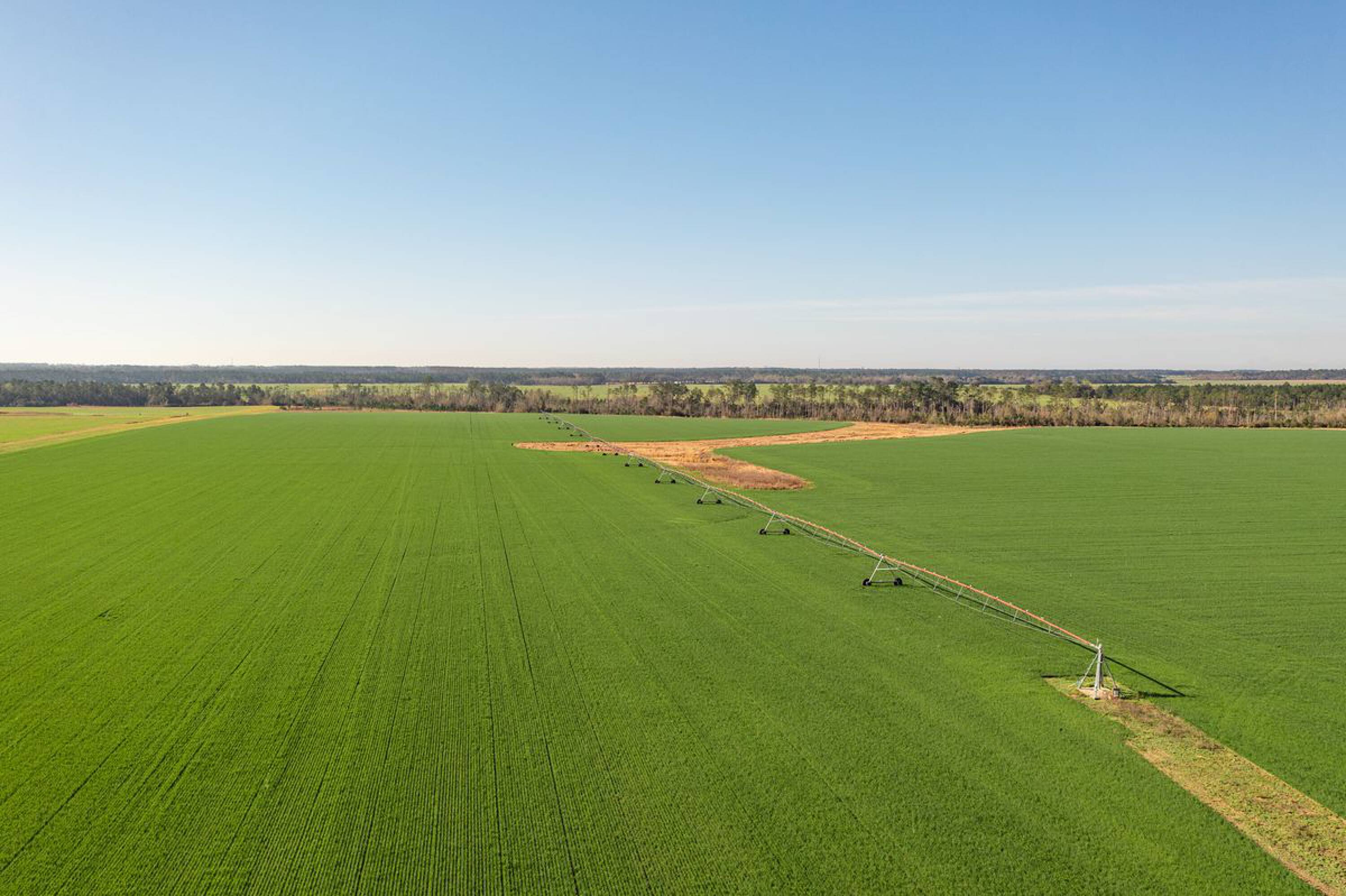 NARROW GAP FARM CR 91 N Perdido Beach AL 36530 APN: PPINs40066;75464 ...