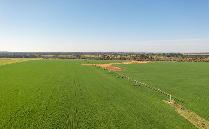 NARROW GAP FARM CR 91 N Perdido Beach AL 36530 APN: PPINs40066;75464 ...