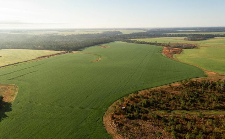 Rolling Acres Farm Gardner Road, Elberta, AL 36530 | Crexi.com