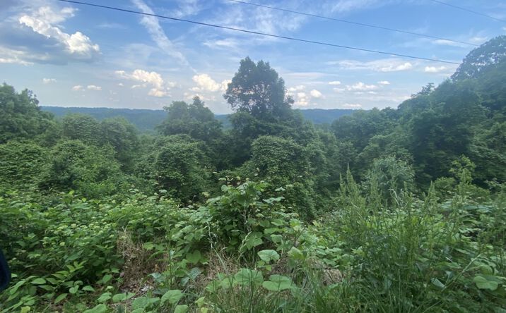 3086 GARDEN CREEK RD Rowe VA 24646-9013 APN: 4559-71-0602 | Crexi.com