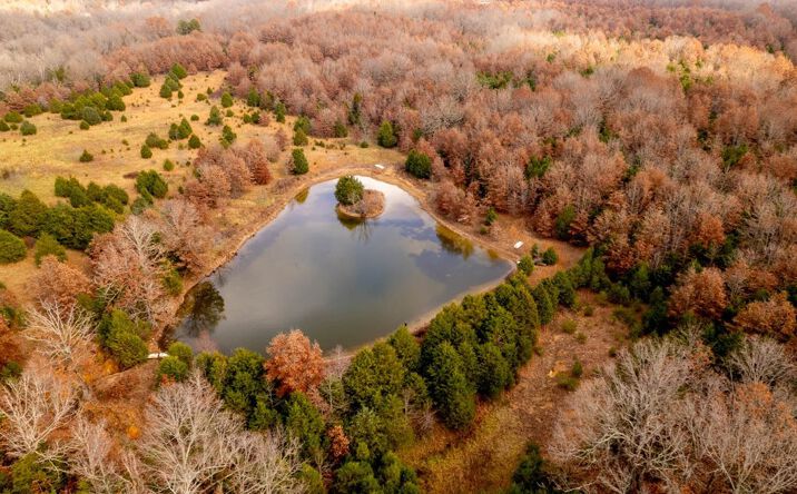 397 Fawnwood Rd, Viola, AR 72583 | Crexi.com