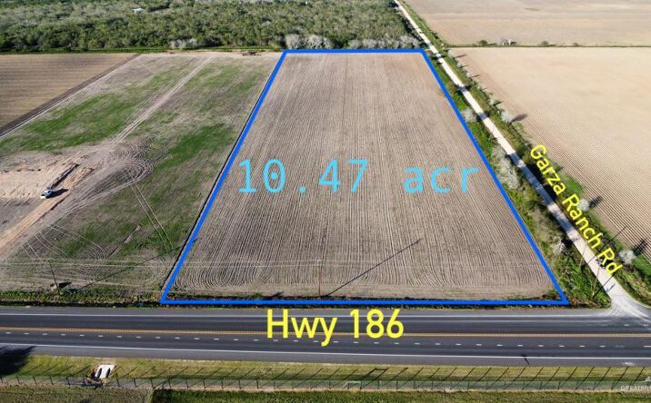 12891 Davila Road, La Sara, TX 78561 | Crexi.com