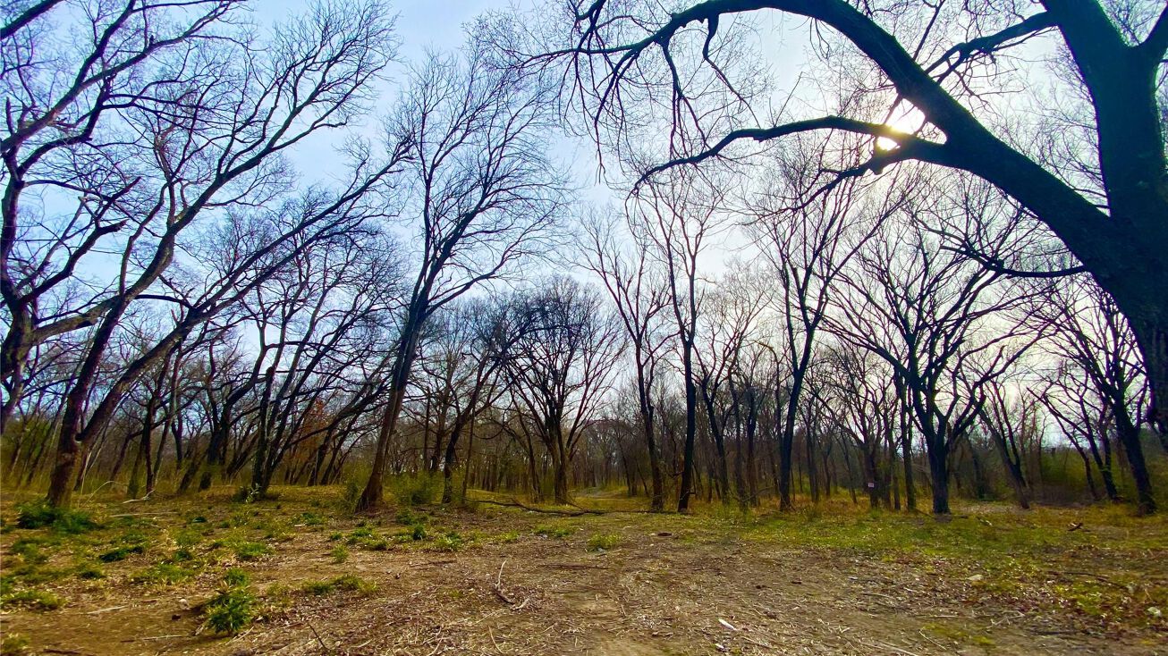 1336 E Renfro St, Burleson, TX 76028 | Crexi.com