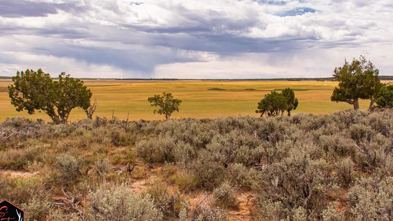 Monticello, UT | Crexi.com