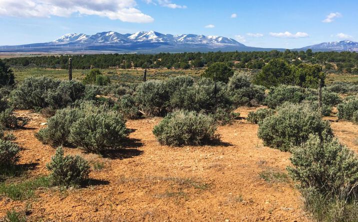 tbd Suckla Road, Egnar, CO 81325 | Crexi.com