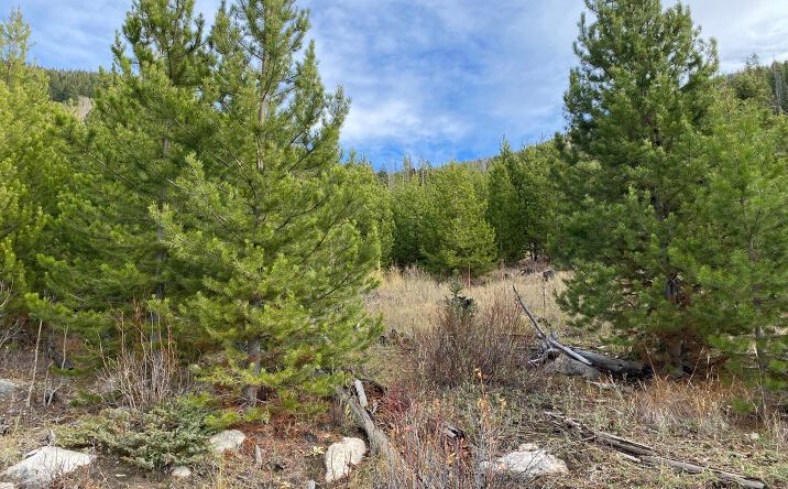 Butte, MT Commercial Real Estate for Sale | Crexi.com