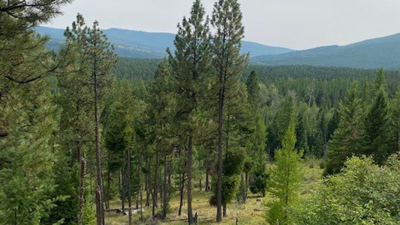 991 Haskill Mountain Ranch Road, Kila, MT 59920 | Crexi.com