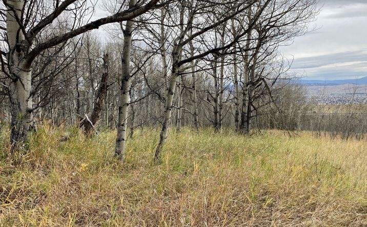 Butte, MT Commercial Real Estate for Sale | Crexi.com