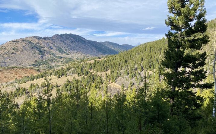 Butte, MT Commercial Real Estate for Sale | Crexi.com