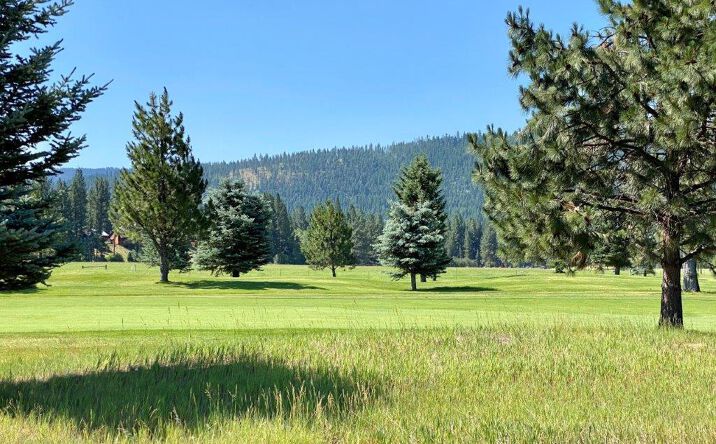 1128 GOLF VIEW DR Seeley Lake MT 59868-8770 APN: 04254011404350000 ...