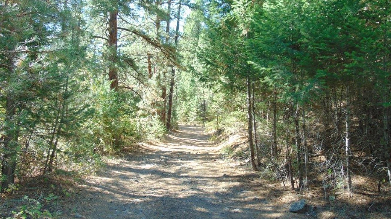 6 Pine Coulee Lane, Cascade, MT 59421 | Crexi.com