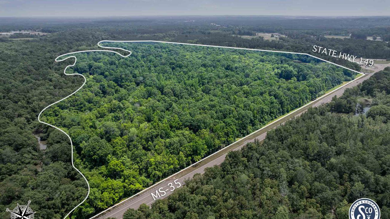 Highway 35, Mt. Olive, MS 39119 | Crexi.com