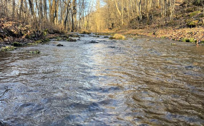 307 CLEAR CREEK RD Leoma TN 38468-5409 APN: 128 00300 | Crexi.com