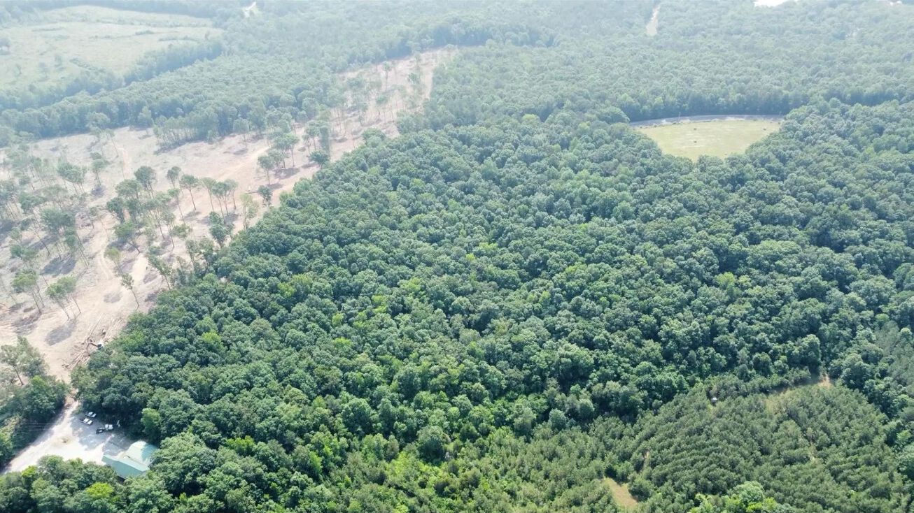 000 Co Rd 133, Littleville, AL 35653 | Crexi.com
