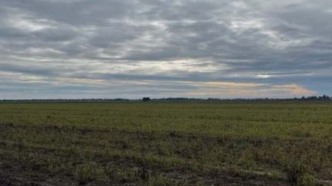 County Rd 98, Woodland, CA 95695 | Crexi.com