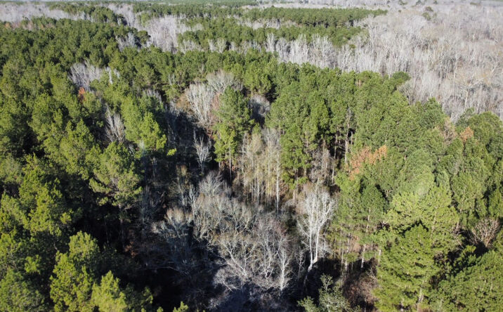 20 Acres, Crystal Springs, MS 39059 | Crexi.com