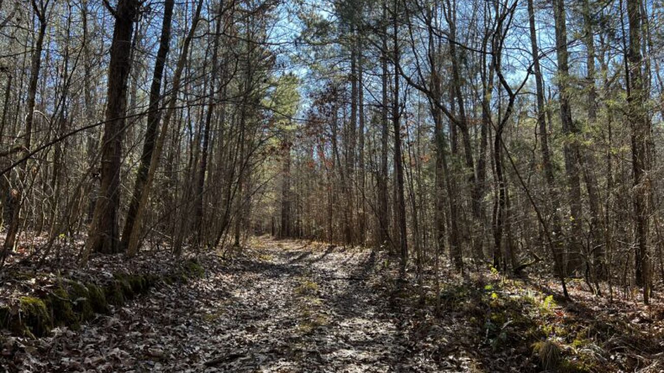 130 Acres, Holmes County, Ms, Carson, MS 39427 | Crexi.com