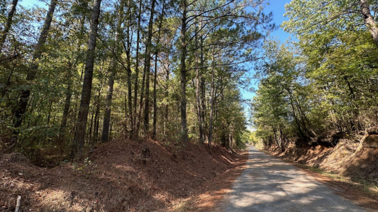 38 Acres, Leake County, Lena, MS 39094 | Crexi.com