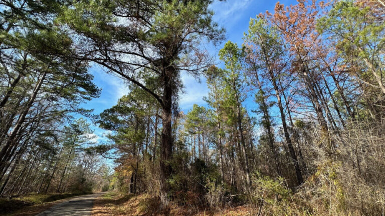 Norman Rd, Hazlehurst, MS 39083 | Crexi.com