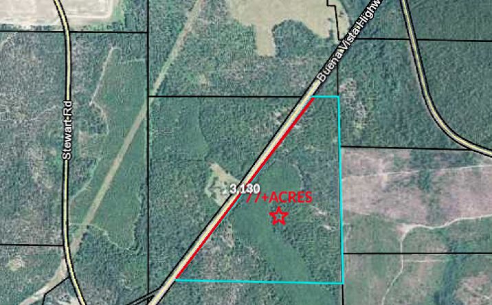 Buena Vista Hwy, Mauk, GA 31058 | Crexi.com