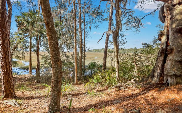 0 Drizzle Bluff Rd, Woodbine, GA 31569 | Crexi.com