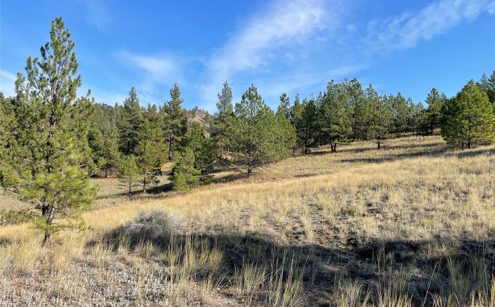 TBD Dry Fork Lane, Cascade, MT 59421 | Crexi.com