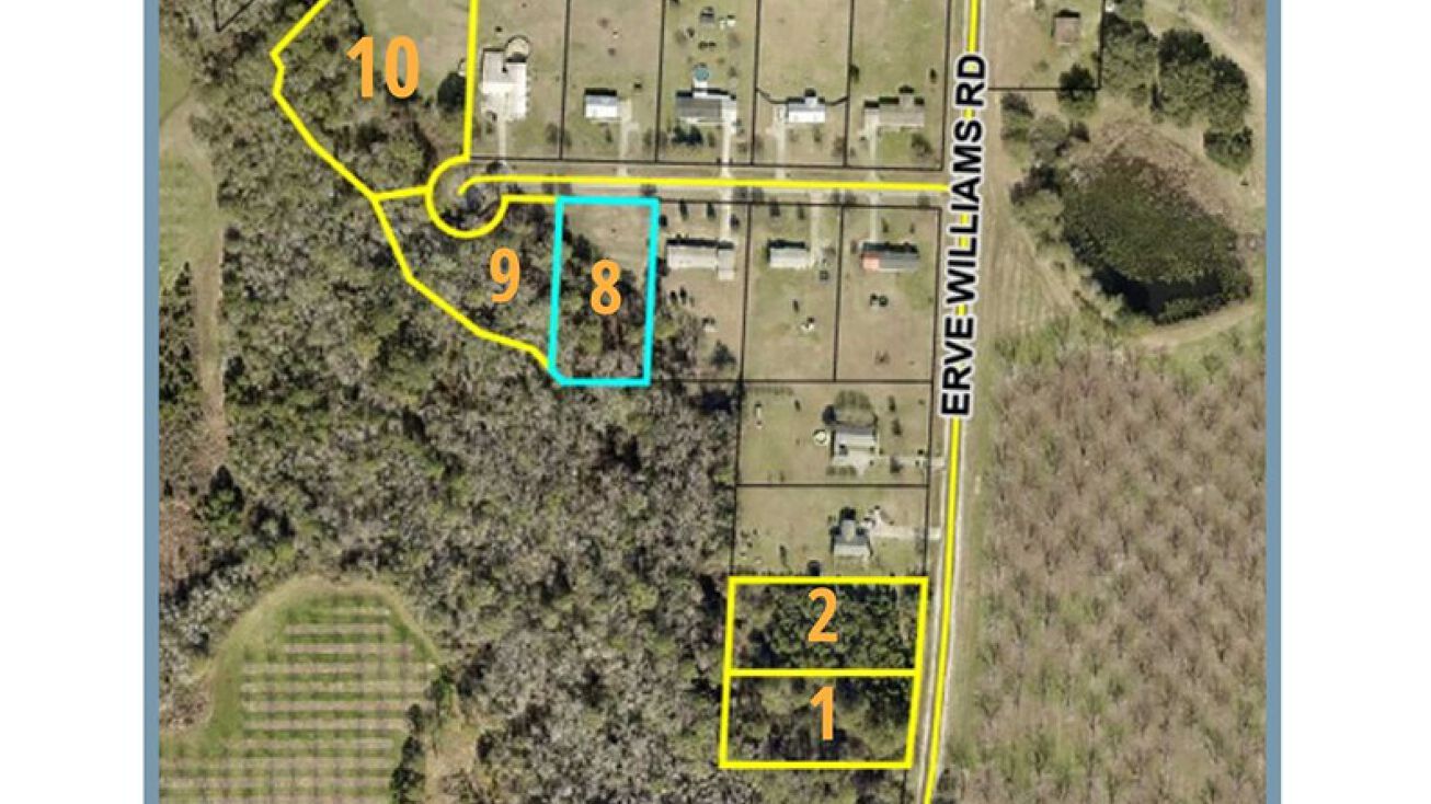 Lot 1 Erve Williams Road, Moultrie, GA 31768 | Crexi.com
