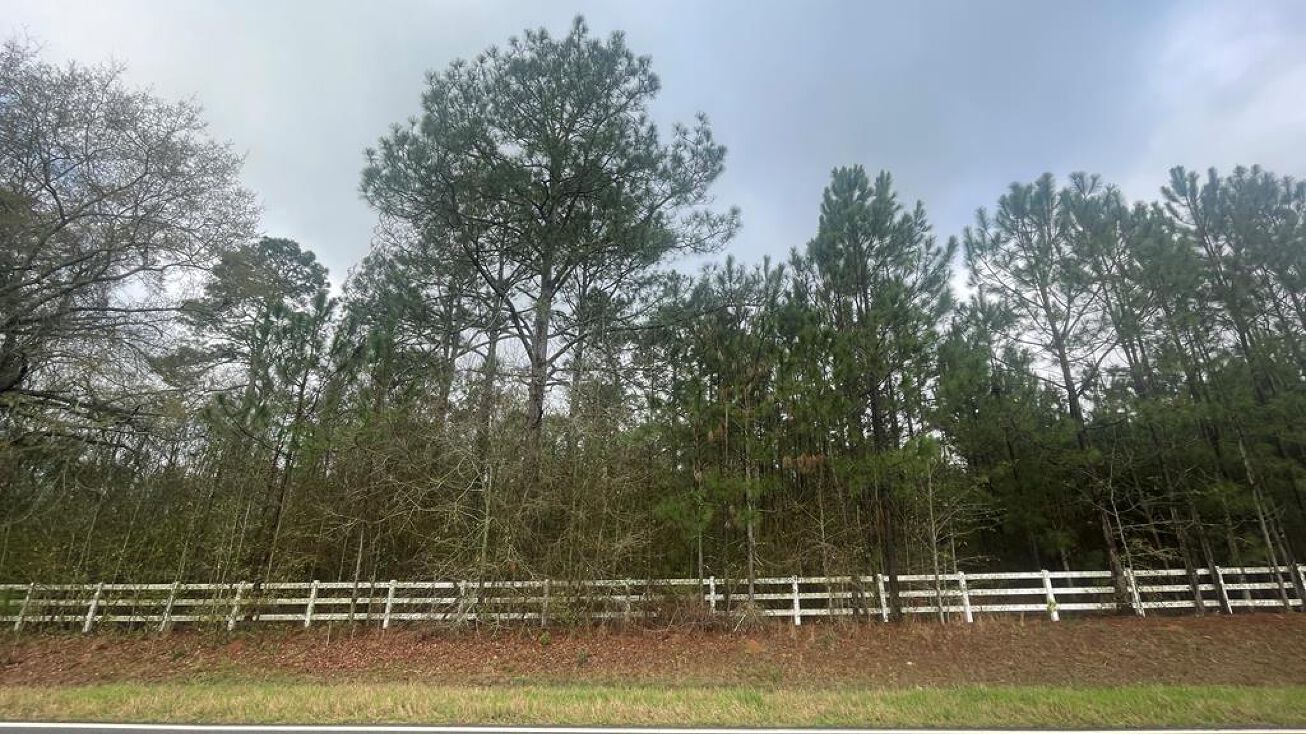Lot 2 Erve Williams Road, Moultrie, GA 31768 | Crexi.com