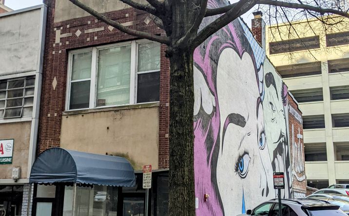 108 N 7TH ST Richmond VA 23219-2304 APN: W-000-0008-012 | Crexi.com