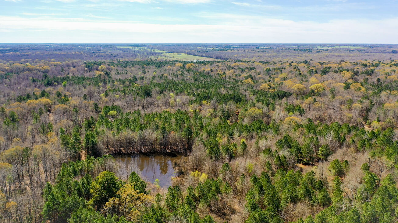 TBD Co Rd 3230, Clarksville, TX 75426 | Crexi.com