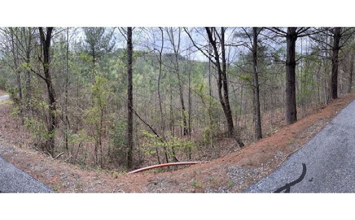 LT 54 Choctaw Ridge Trail, Murphy, NC 28906 | Crexi.com