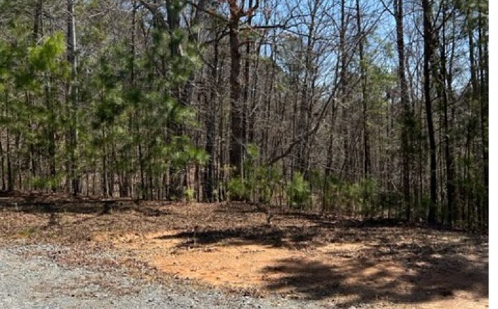 LOT 2 Hunter Ridge, Ellijay, GA 30540 | Crexi.com