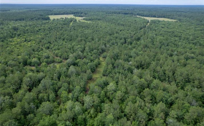 21888 BRAGG RD Saratoga TX 77585 | Crexi.com