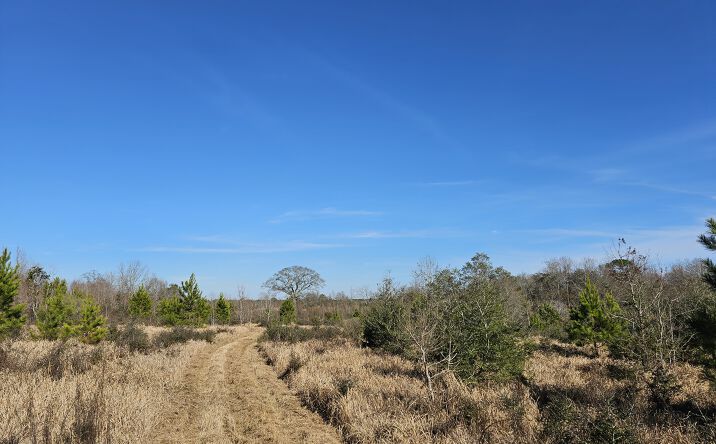 MS-53, Poplarville, MS 39470 | Crexi.com