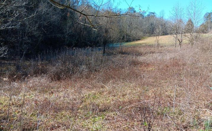 0 Cracker Neck Rd, Washburn, TN 37888 | Crexi.com