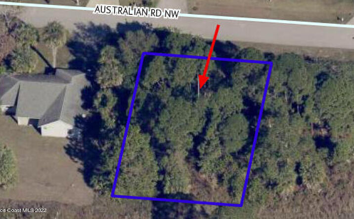 Lisa Parlette - YHSGR-Pioneer | Crexi