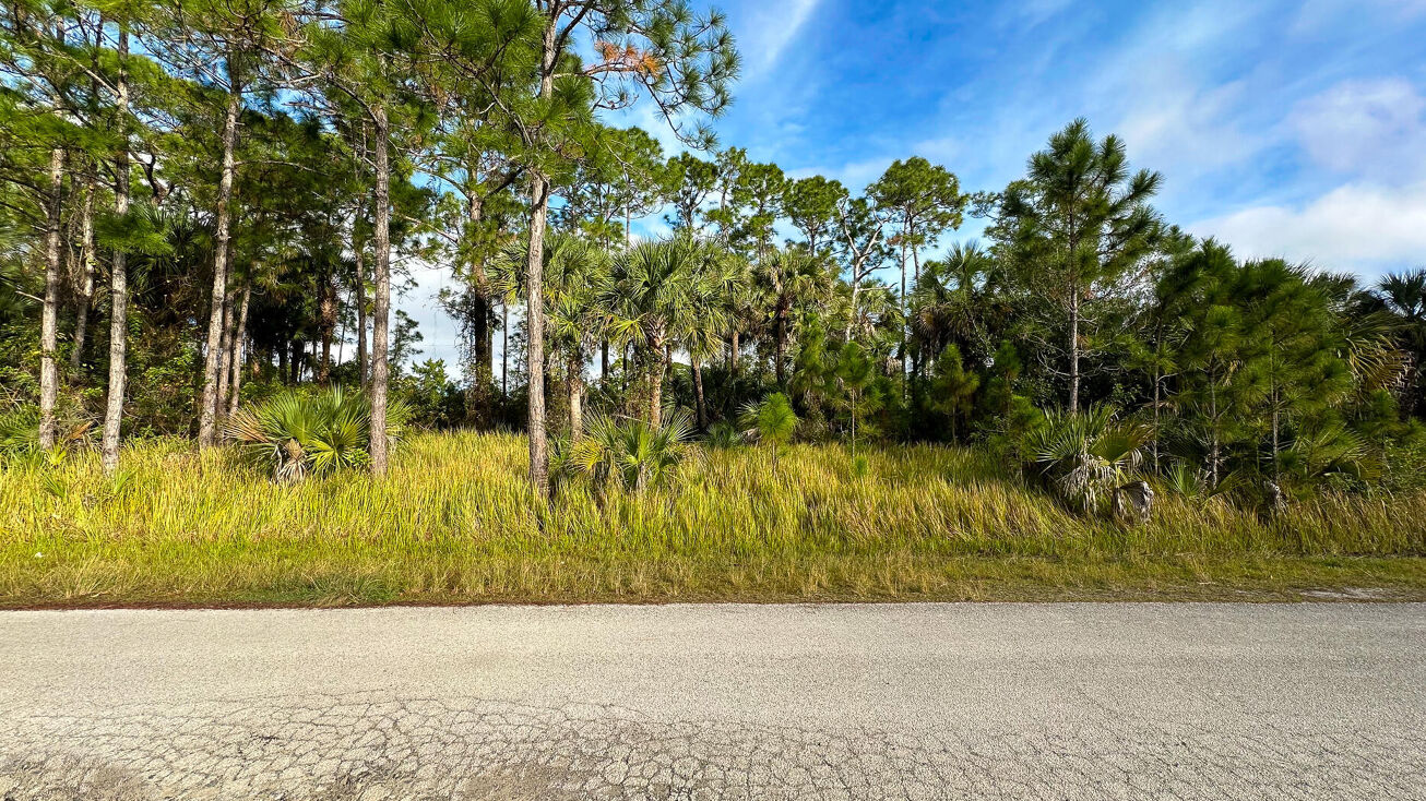 1253 Hathaway Road SW, Palm Bay, FL 32908 | Crexi.com