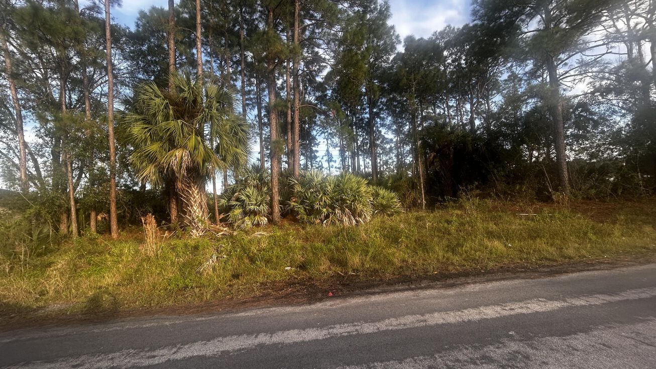 531 Higgs Avenue NW, Palm Bay, FL 32907 | Crexi.com