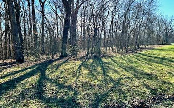 41 Parc Forest Trail, Hawk Point, MO 63349 | Crexi.com