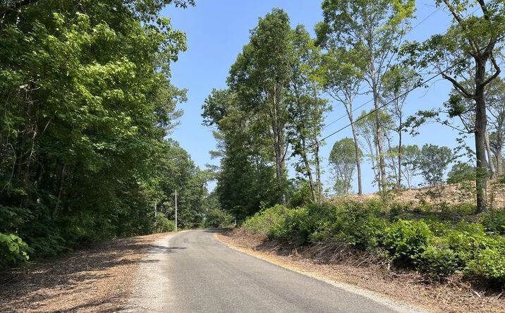 000 Co Rd 133, Littleville, AL 35653 | Crexi.com