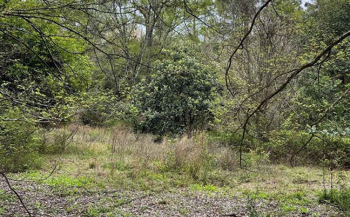 1 MELONEE LN Carriere MS 39426 APN: 5176130002102500 | Crexi.com